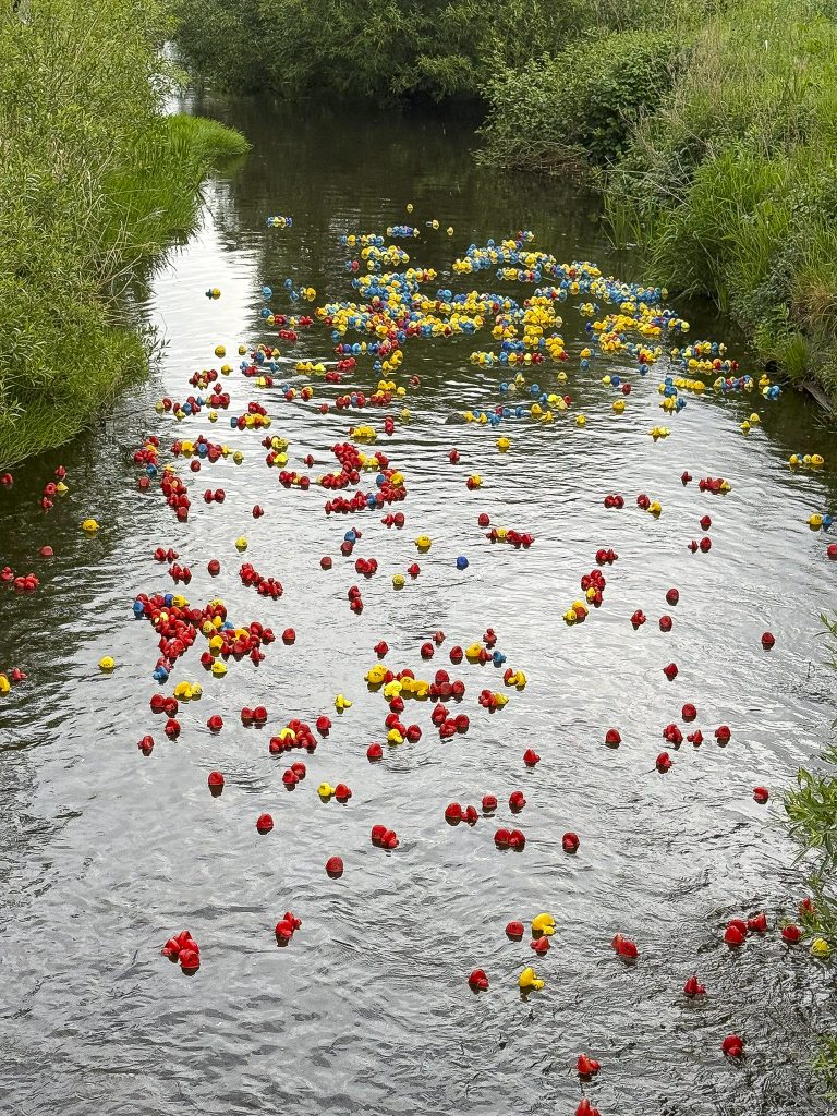 Beltane Duck Race – Result | Peebles Beltane Festival
