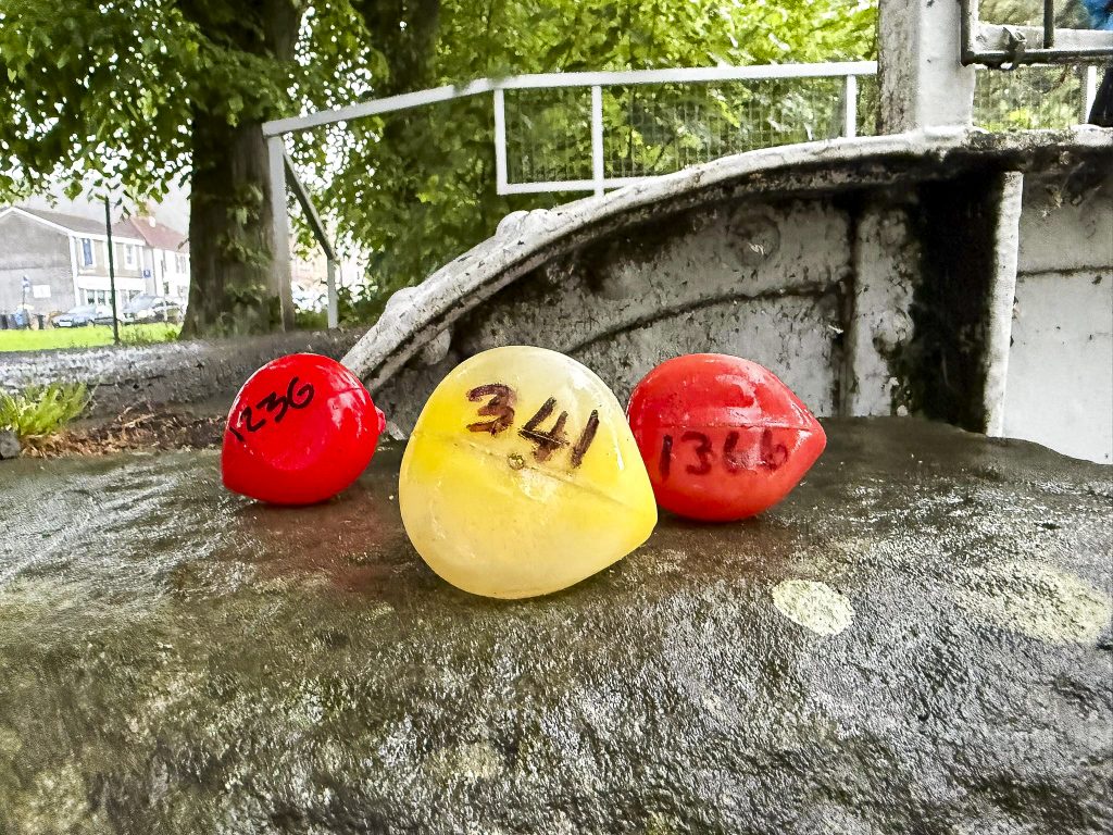 Beltane Duck Race – Result | Peebles Beltane Festival